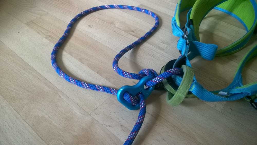 "Screamer" at harness? (Kong Slyde on lead rope tie-in)
