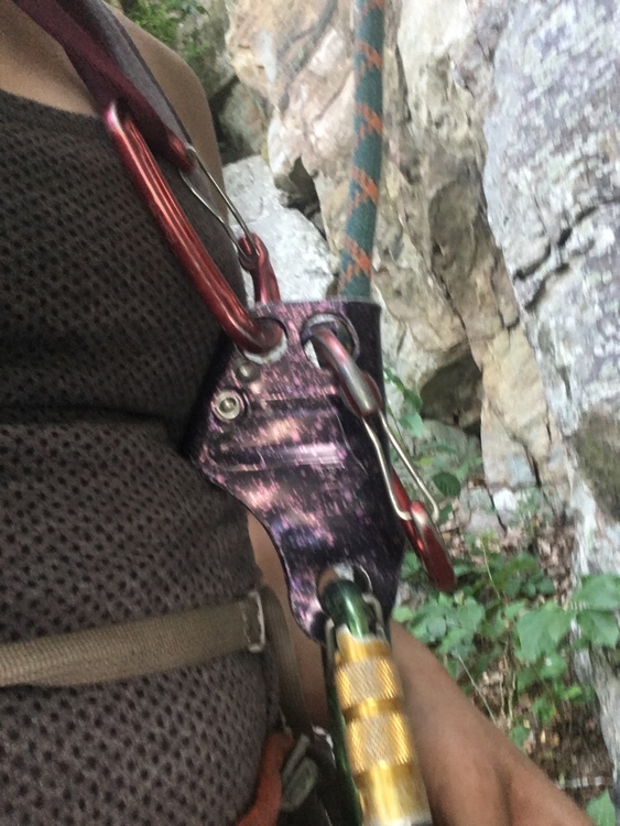 WTB Original Petzl Basic Ascender