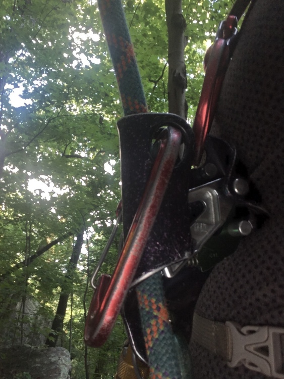 WTB Original Petzl Basic Ascender