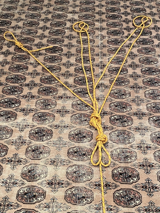 Asininely specific rappel question