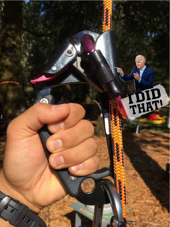 Easy Daisy vs FiFi vs Petzl Evolv Adjust