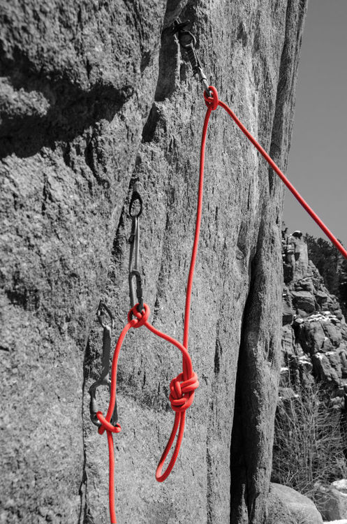 Best option for clipping into multi-pitch anchors/belay stations etc.
