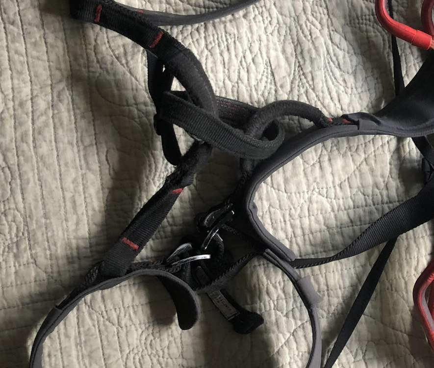 Dead Birb harness belay loop failing