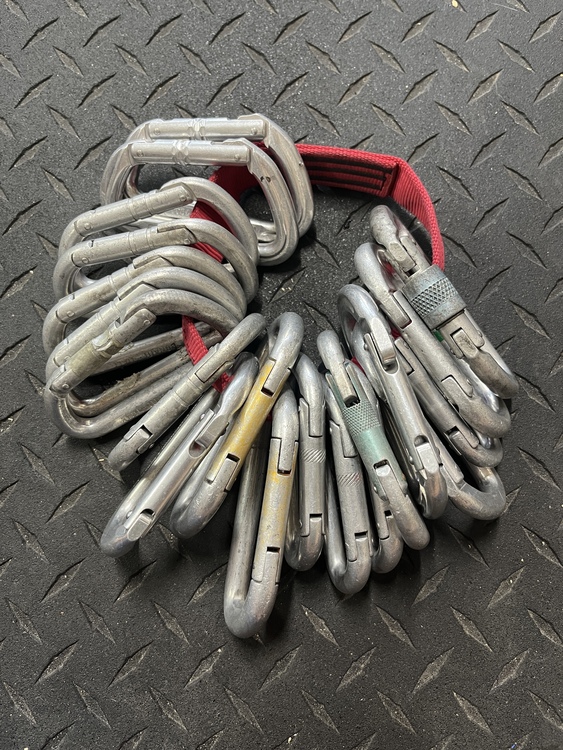 Salewa Sticht Plate + Vintage Carabiners