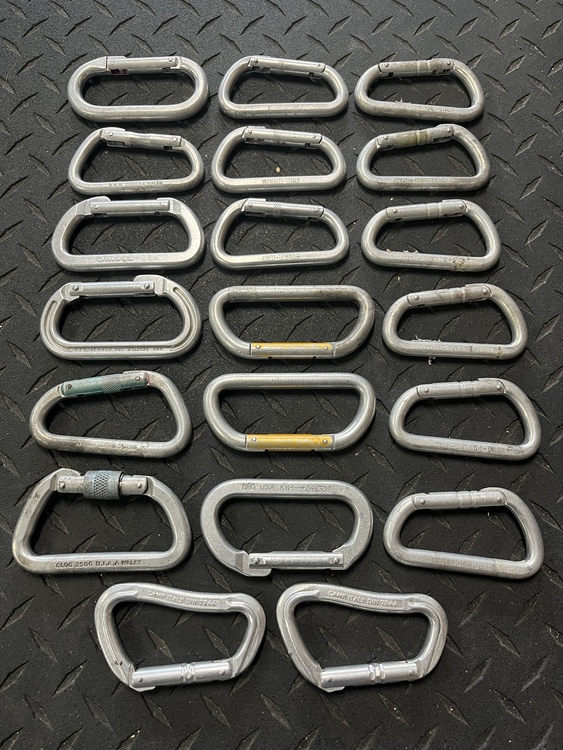 Salewa Sticht Plate + Vintage Carabiners