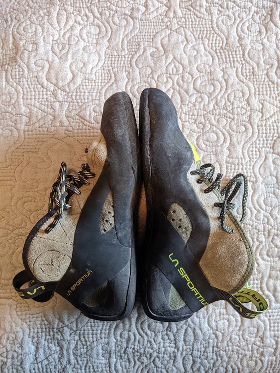 New TC Pro -sizing difference- from old TC pro shoes?
