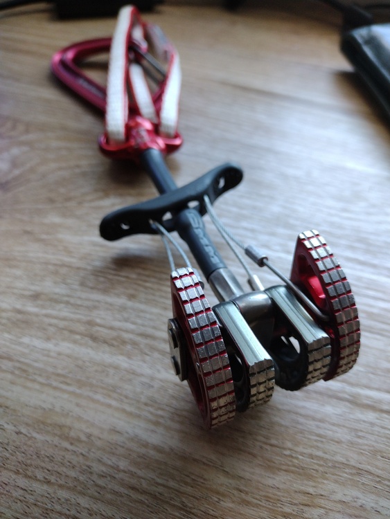 FS DMM dragons (Purple #1 and Red #3)