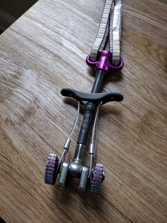 FS DMM dragons (Purple #1 and Red #3)