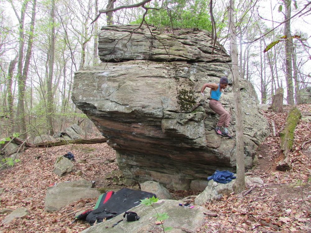 Glacial Erratic at Rockefeller State Park