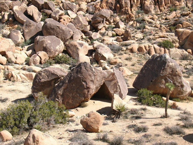 Climbing in Chocolate Boulders, Joshua Tree National Park