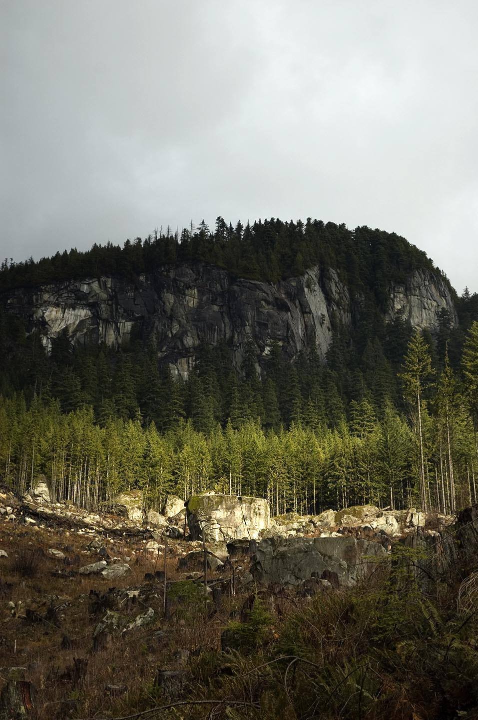 gold bar boulders
