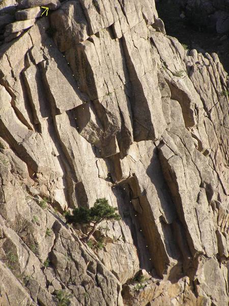 Left Wing follows the L facing dihedral and angles up and to the left.