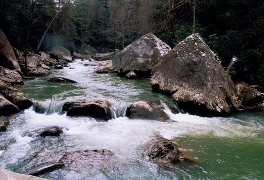 The Narrows of the Upper Red River Gorge, Clifty WIlderness