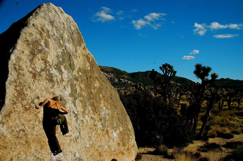 Climb Turtle Face, Left, Joshua Tree National Park