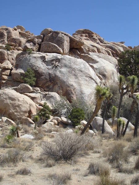 Rock Climbing in Sparky Slab, Joshua Tree National Park