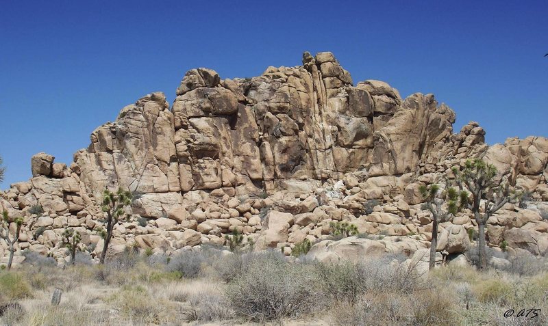 Rock Climbing in Mindless Mound, Joshua Tree National Park