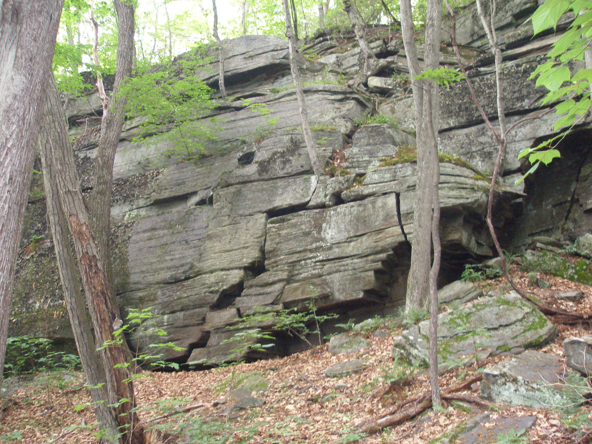 The first outcrop you encounter on your left, on the way up the Rose ...