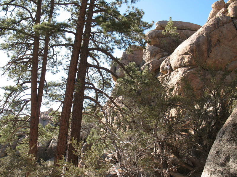 Deb clipping just below the crux of Deer Lick (5.10a), Holcomb Valley ...