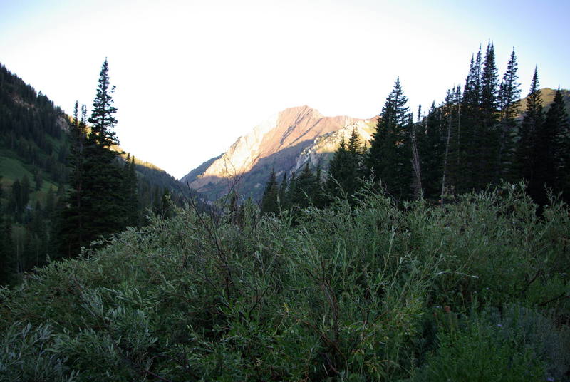 A view of mt superior near sunrise