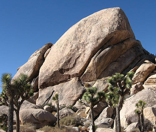 Rock Climbing in Cap Rock - South Face, Joshua Tree National Park