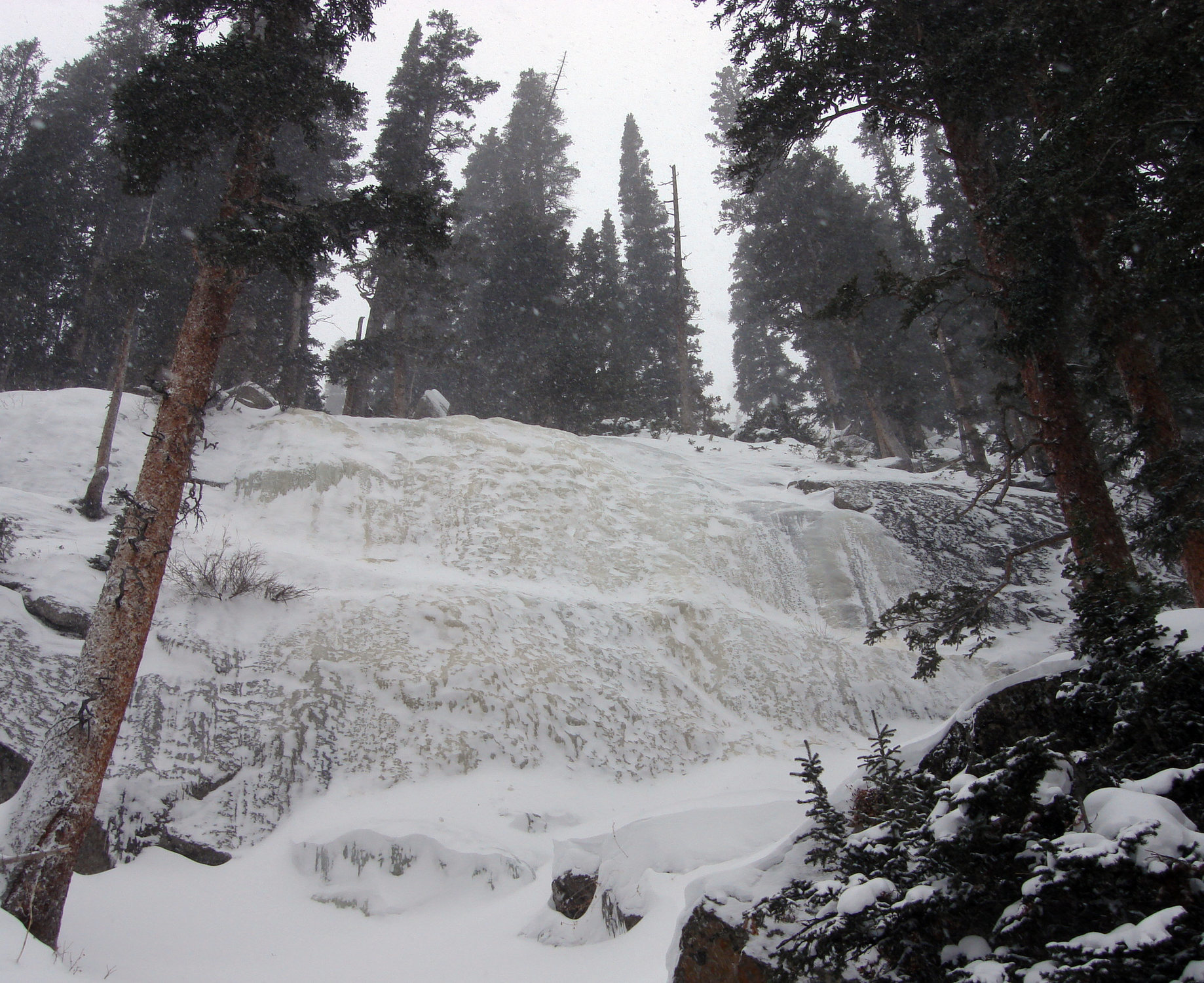 Overflow, right side, viewed from the snow slope above Glacier Creek ...