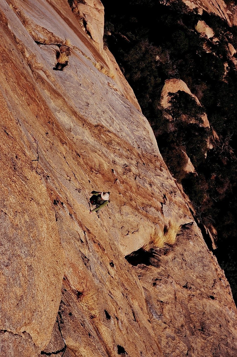 Ron Roach follows a long pitch of 'Aribas Ameobas' on the Out Of ...