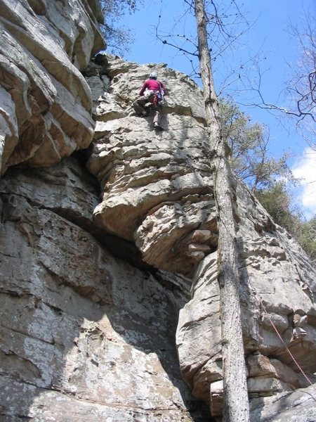 Rock Climb Pillar, Palisades Park