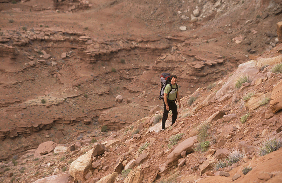 The standard desert approach...