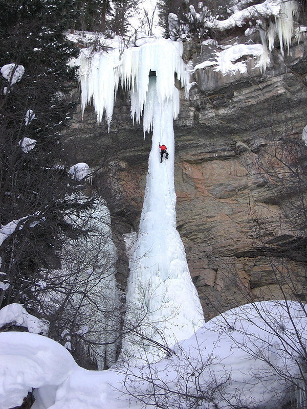 The Fang seems to be the star of the Amphitheatre right now. Sam ...