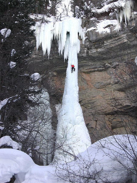 The Fang seems to be the star of the Amphitheatre right now. Sam ...