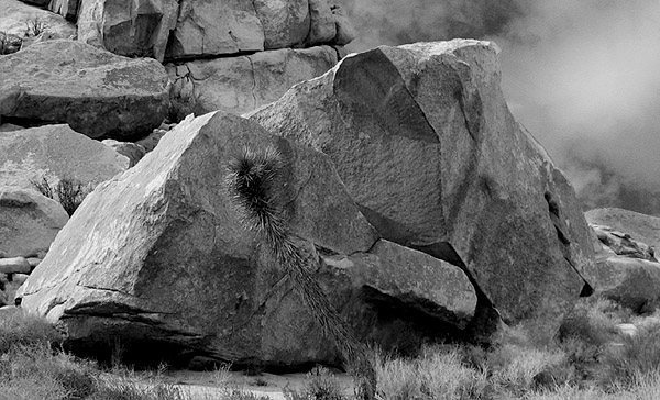Climbing in The Broken Boulder, Joshua Tree National Park