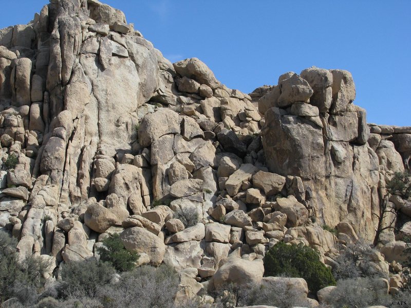 Rock Climbing in Snake Dome, Joshua Tree National Park