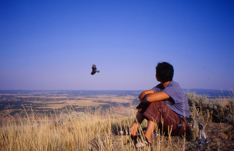Larissa Phillips watches a vulture glide by at eye level from the ...