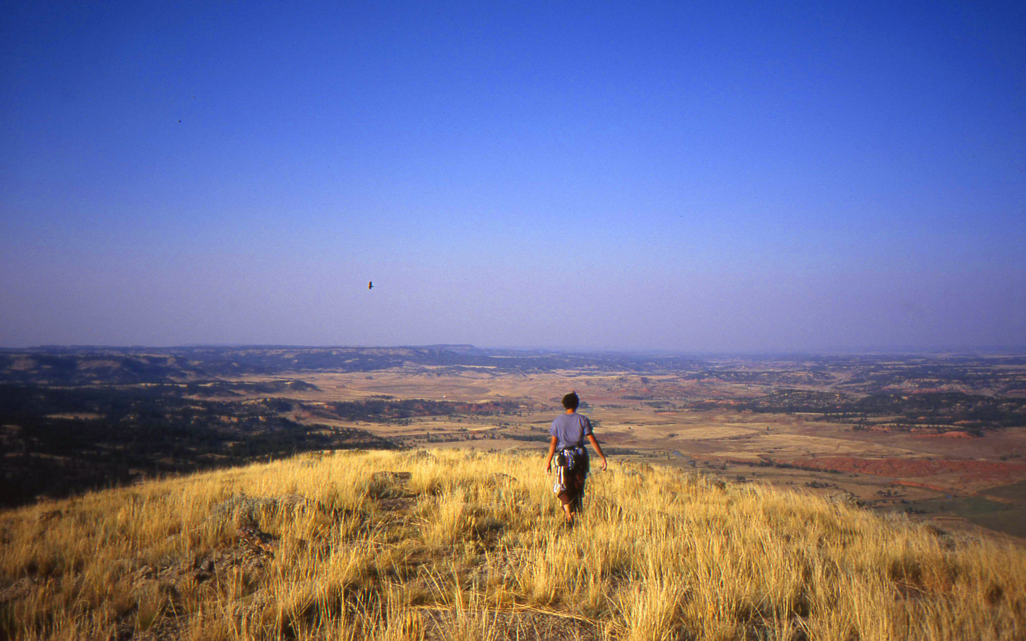 Larissa Phillips strolls through the summit meadow of Devil's Tower as ...
