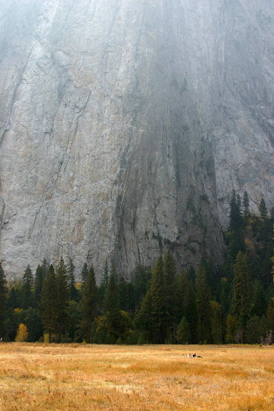 A couple relaxing in ElCap meadow with Middle Cathedral in the ...