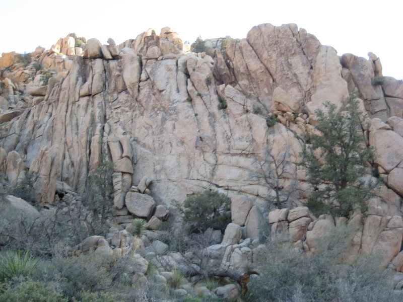 Rock Climbing in Worthwhile Pile, Joshua Tree National Park