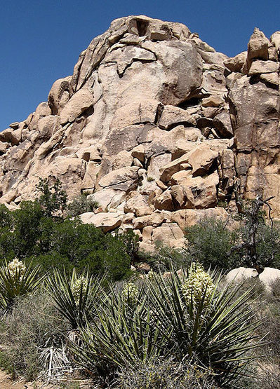 Rock Climbing in Elephant Dome, Joshua Tree National Park