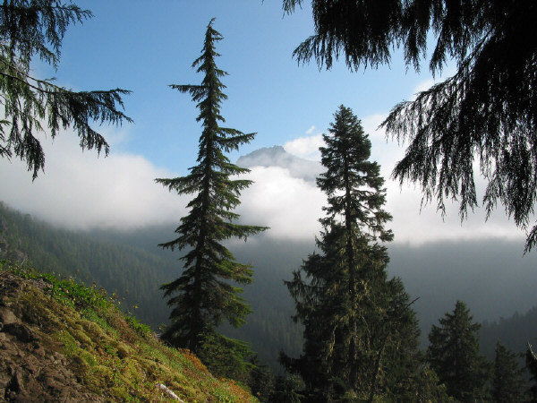 Rock Climb Lena Lake to Mt Stone traverse, Olympics & Pacific Coast