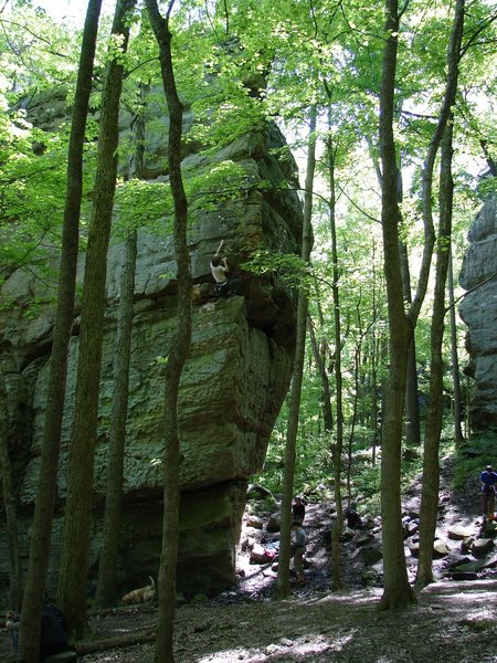 Rock Climb Cheerio Bowl, *Jackson Falls