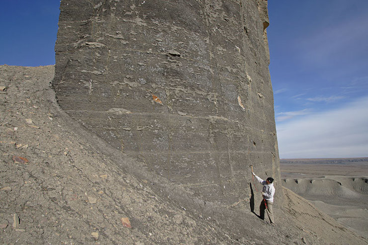 Mancos shale at its finest.