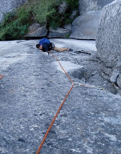 David Trippett cruising p1.