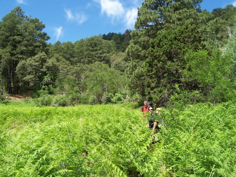 Rock Climbing in Rincon Mountains, Southern Arizona