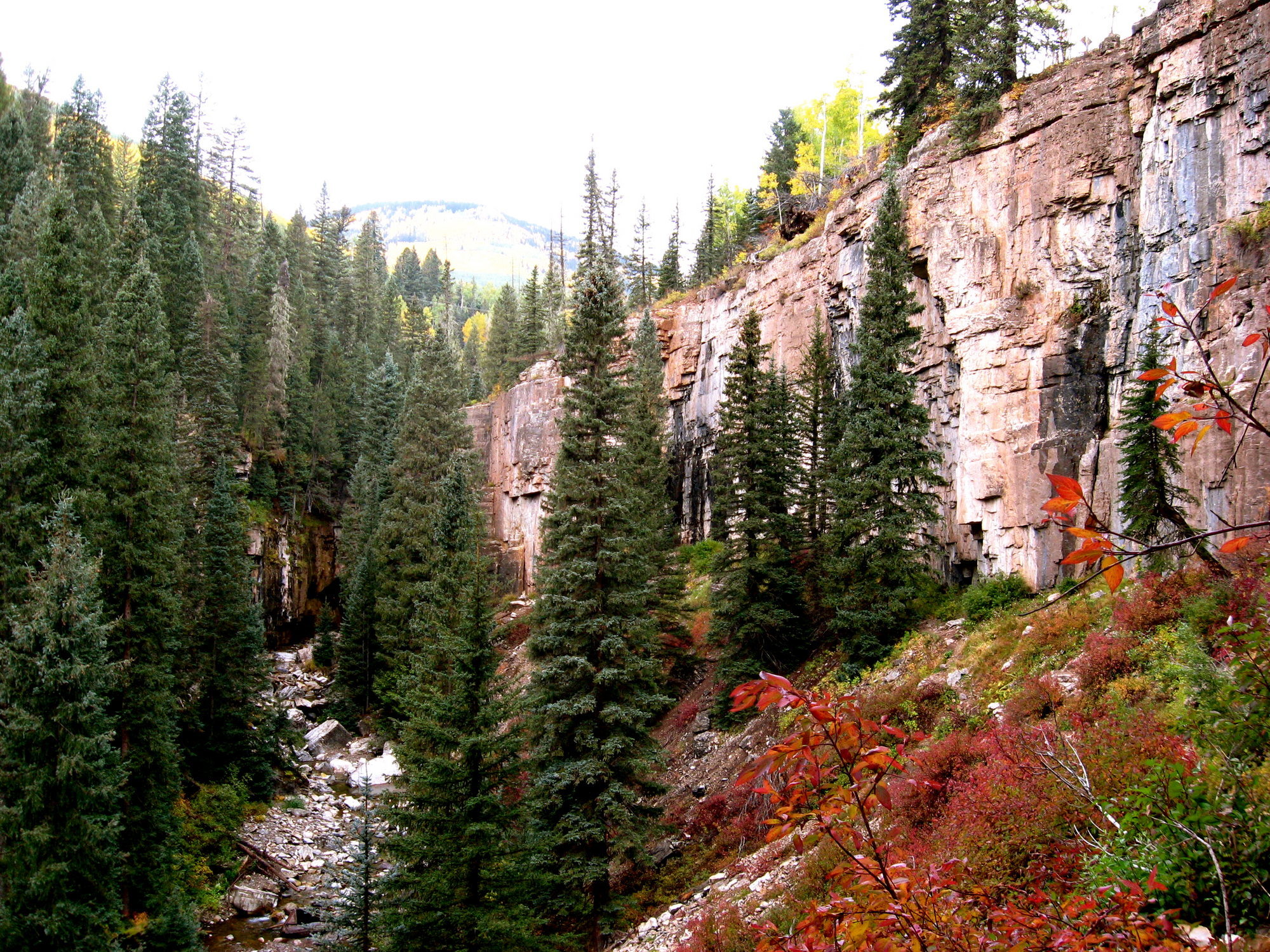 Cascade Canyon in the fall.