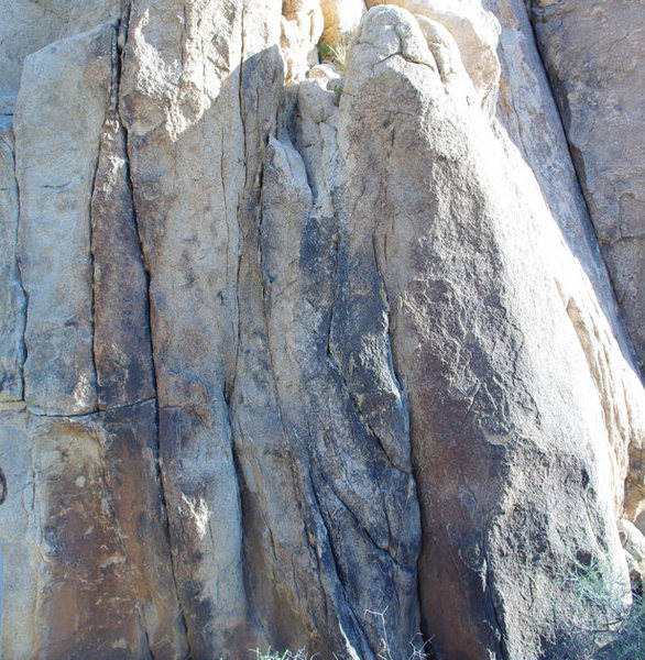 Crack Alley, Photo: Meredith Doeksen