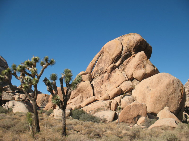 Rock Climbing in Arid Piles, Joshua Tree National Park