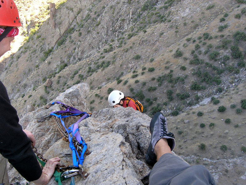 The route with the most webbing wins. :-) This is the summit belay ...