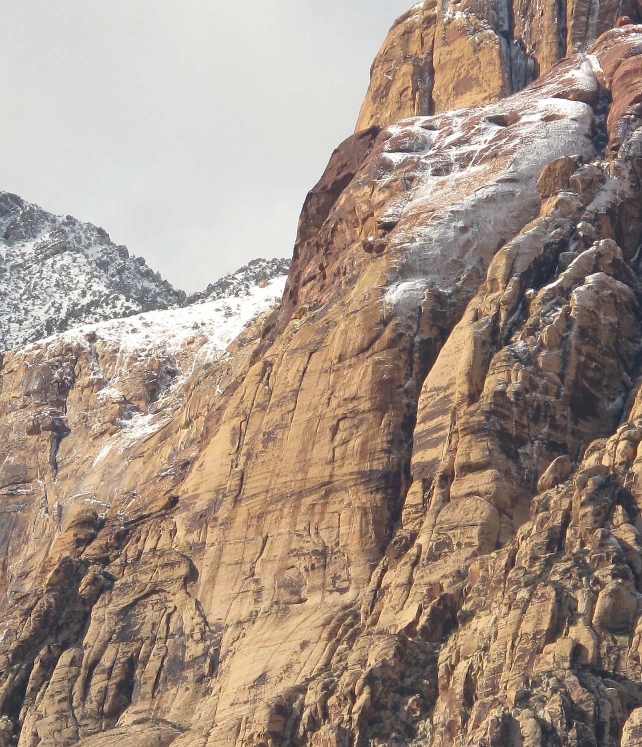 Solar Slab Wall - upper tier. Dec 26, 2008.