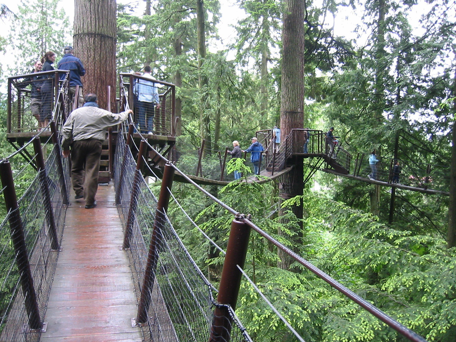 The suspended walkways at the Capilano Suspension Bridge in North ...