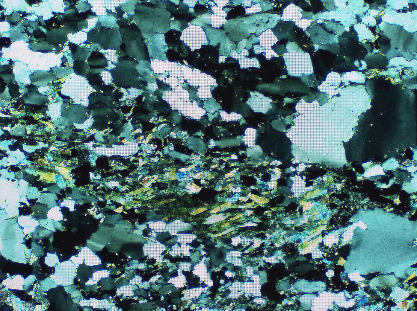 Clear Creek Quartzite, CO. Stretched and sutured quartz grains and mica ...