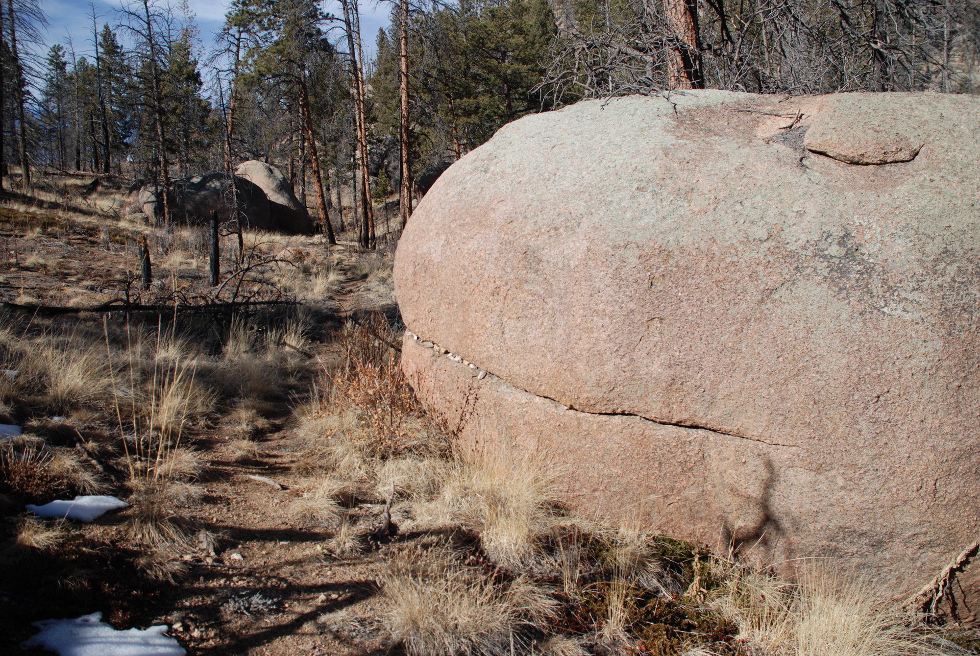 The Dinosaur Head Boulder just entering the bouldering area.